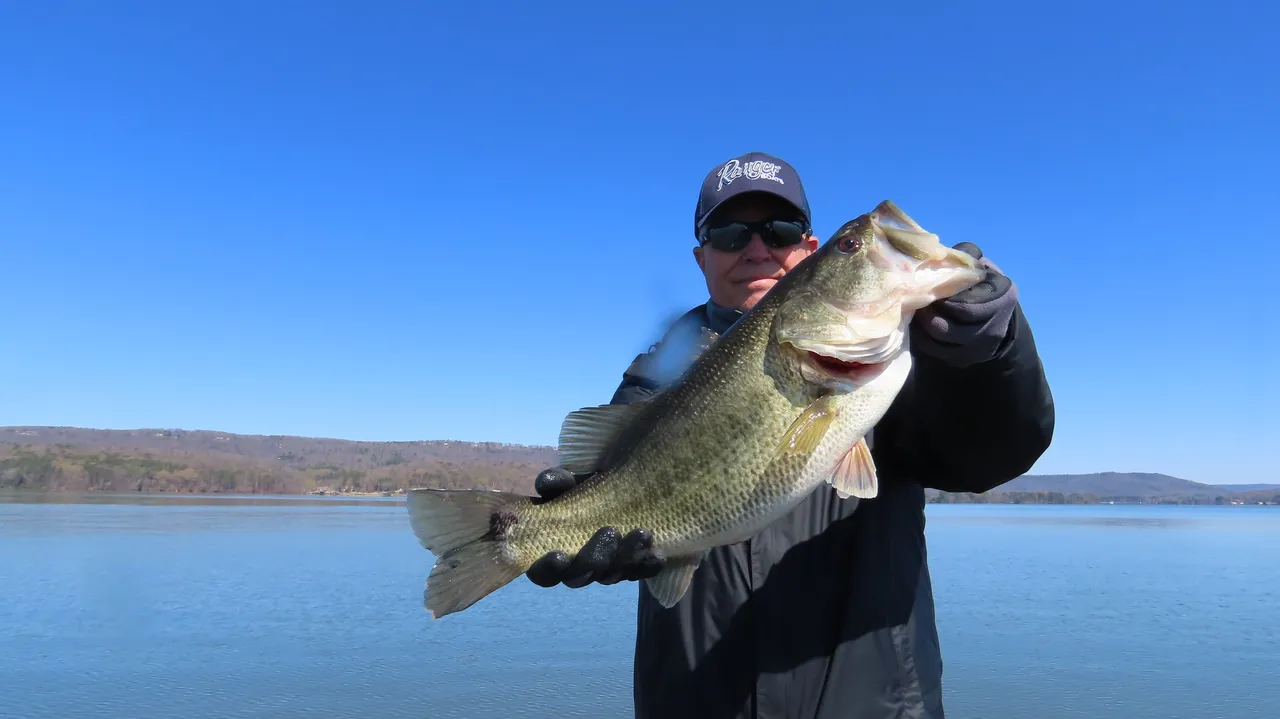Fishing the Spawn - Fish Lake Guntersville Guide Service