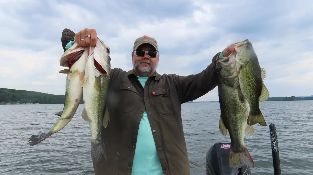 Benefits of Fishing the Shad Spawn - Fish Lake Guntersville Guide Service
