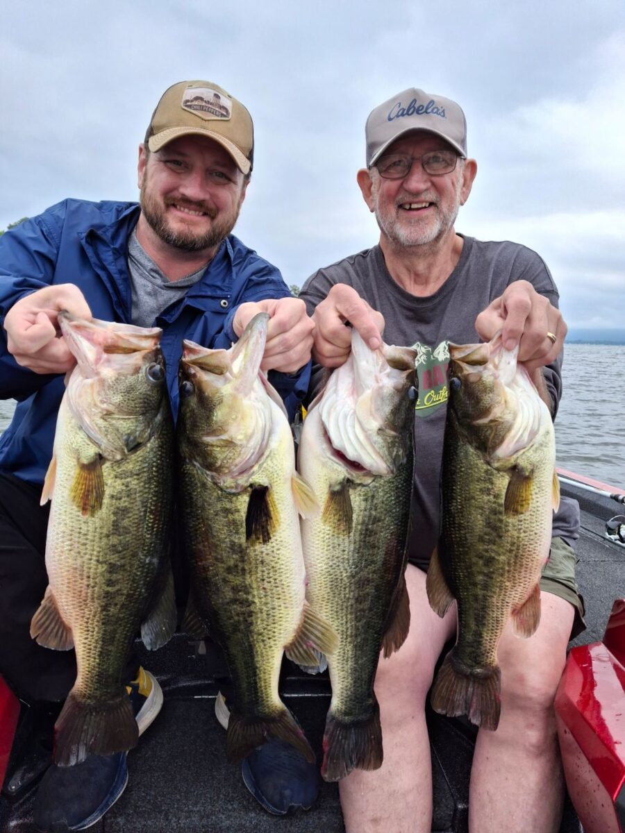 Bladed Baits - Fish Lake Guntersville Guide Service